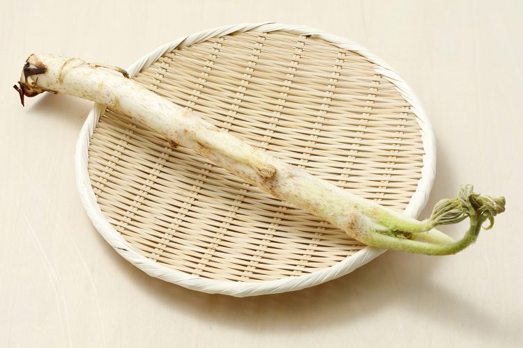 野菜情報